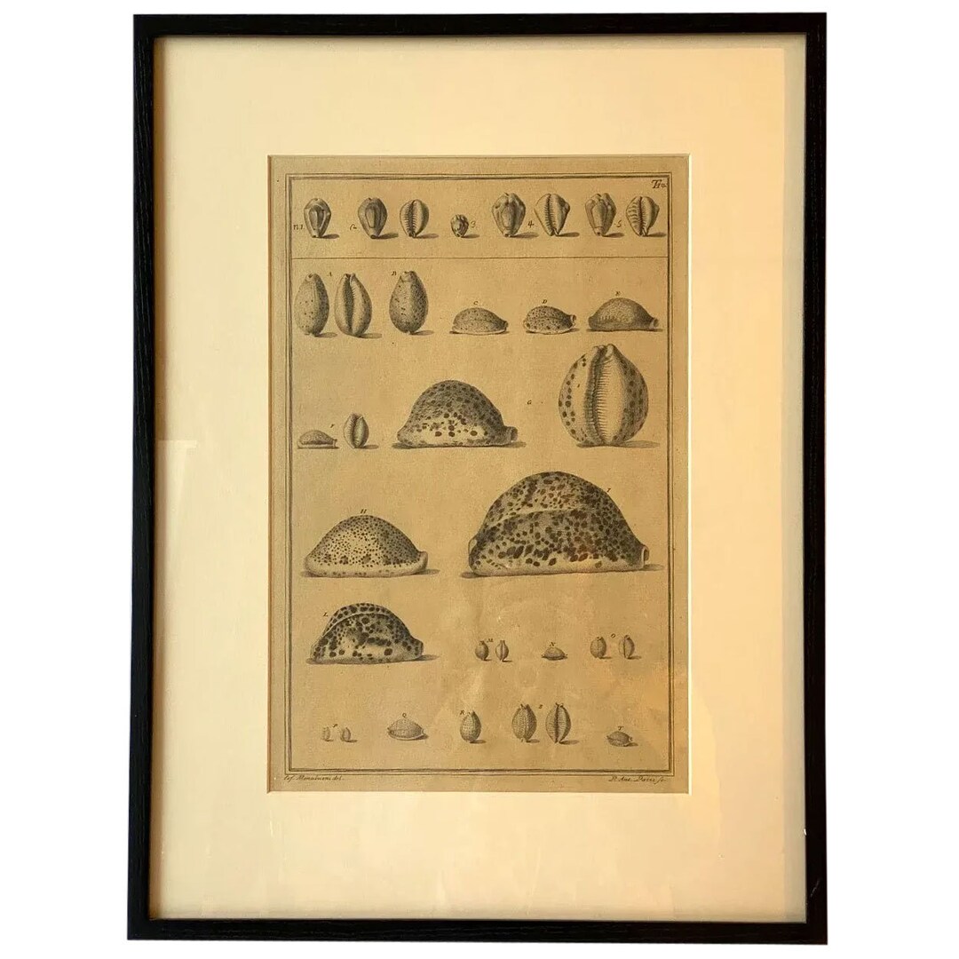 1742 Antique Italian Antonio Pazzi After GIUSEPPE MENABUONI Engraving ...