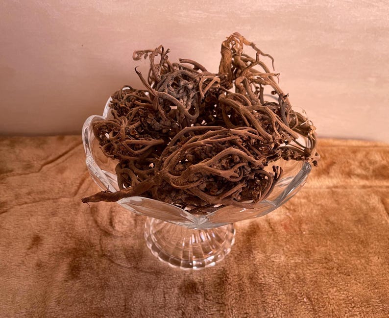 Flower of Maryam Palm of Mary Moroccan Natural Dried Herb [ عشبة كف ...