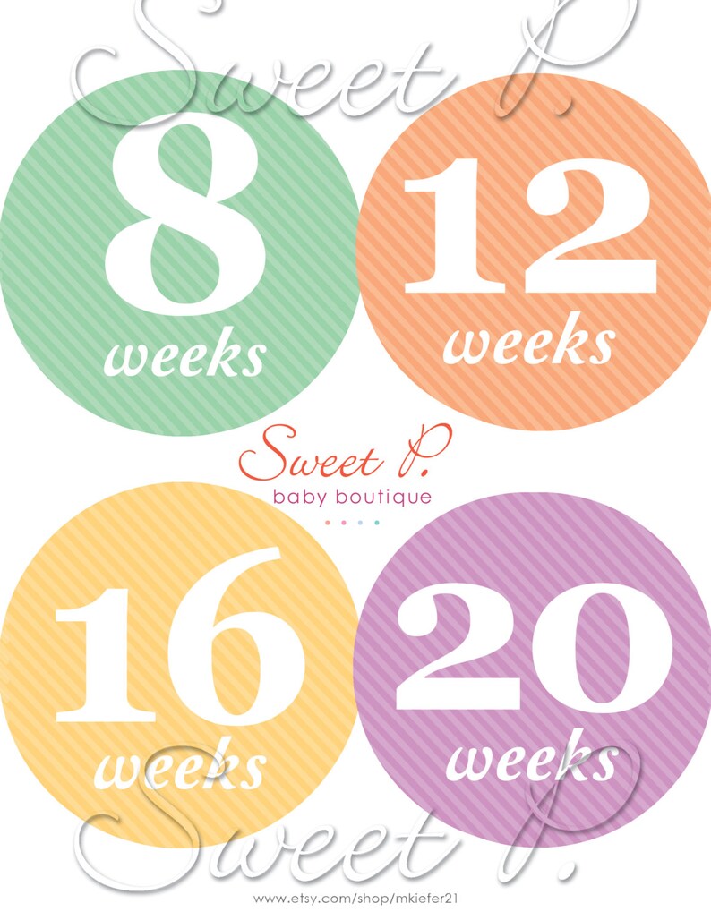 Baby Bump Pregnancy Stickers: for Moms Belly - Etsy