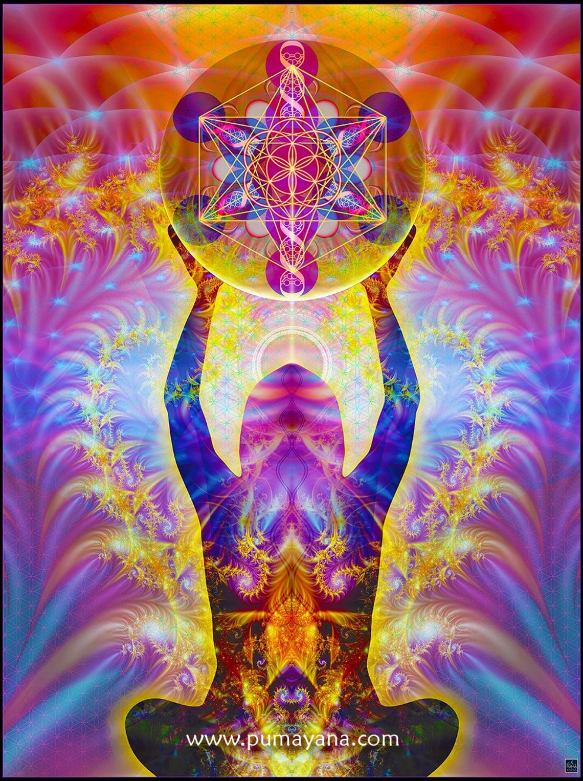 Alchemical Body Poster Art Print Healing Meditation | Etsy