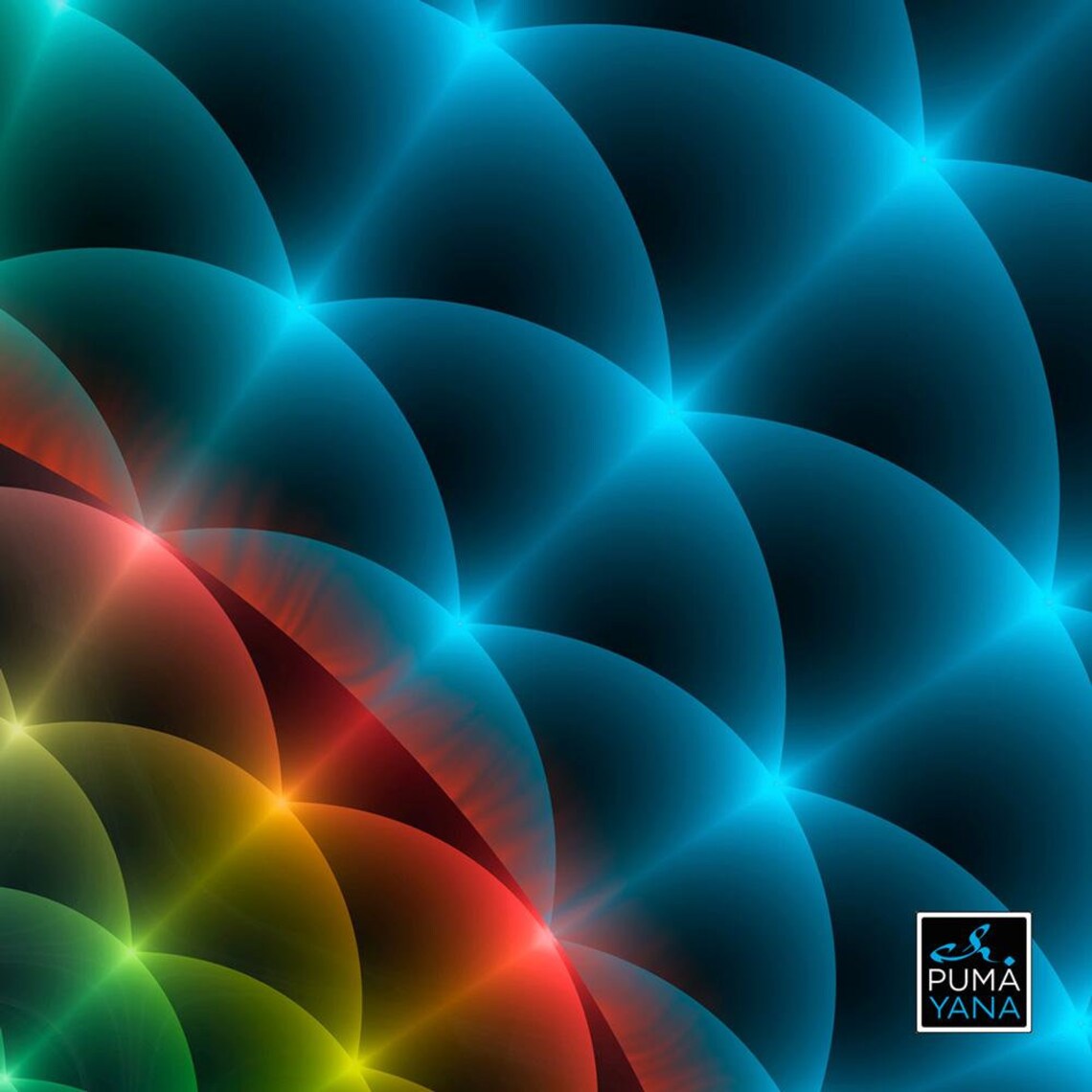 Shambala Mandala Art Print: Psychedelic Sacred Geometry Poster - Etsy