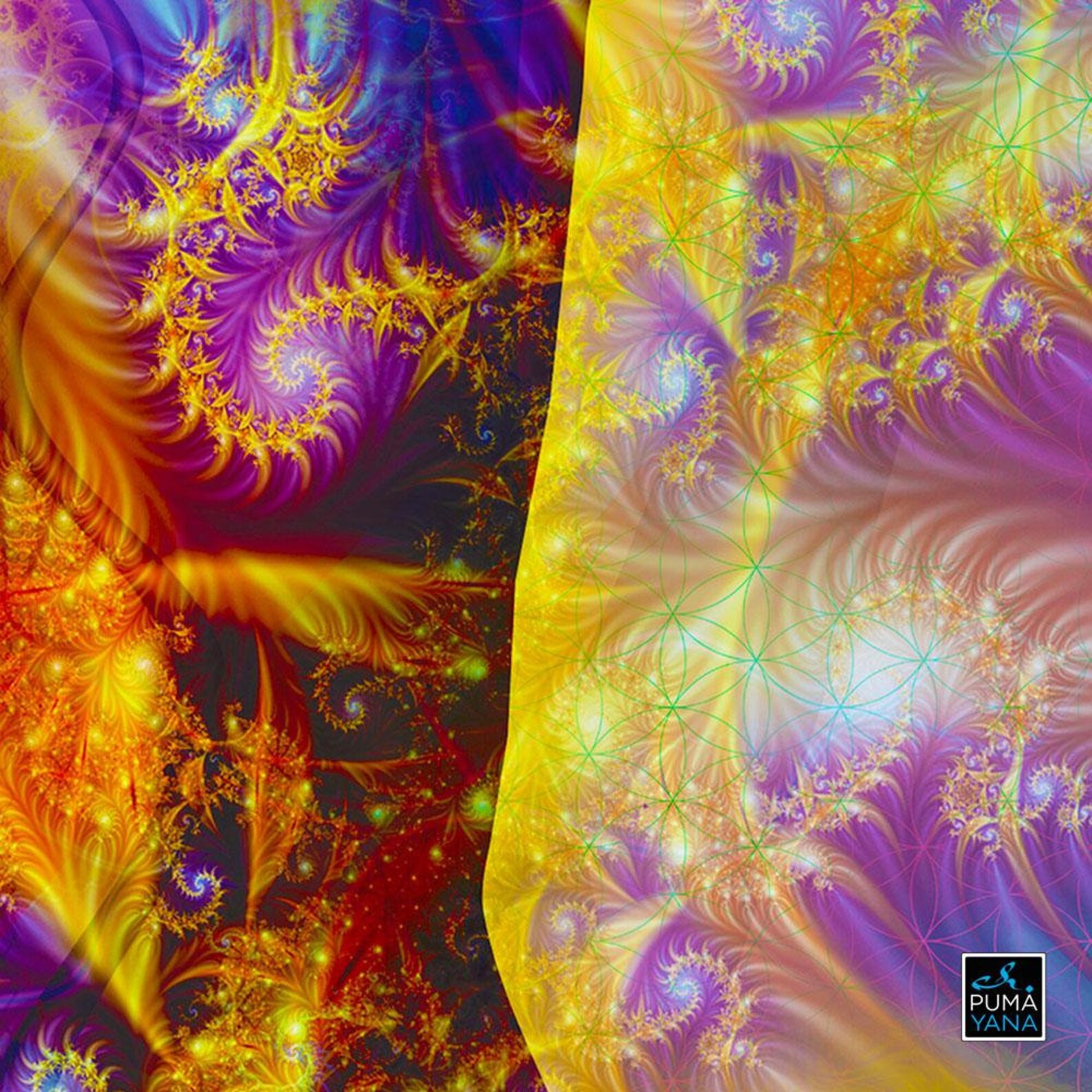 Alchemical Body Poster Art Print Healing Meditation | Etsy