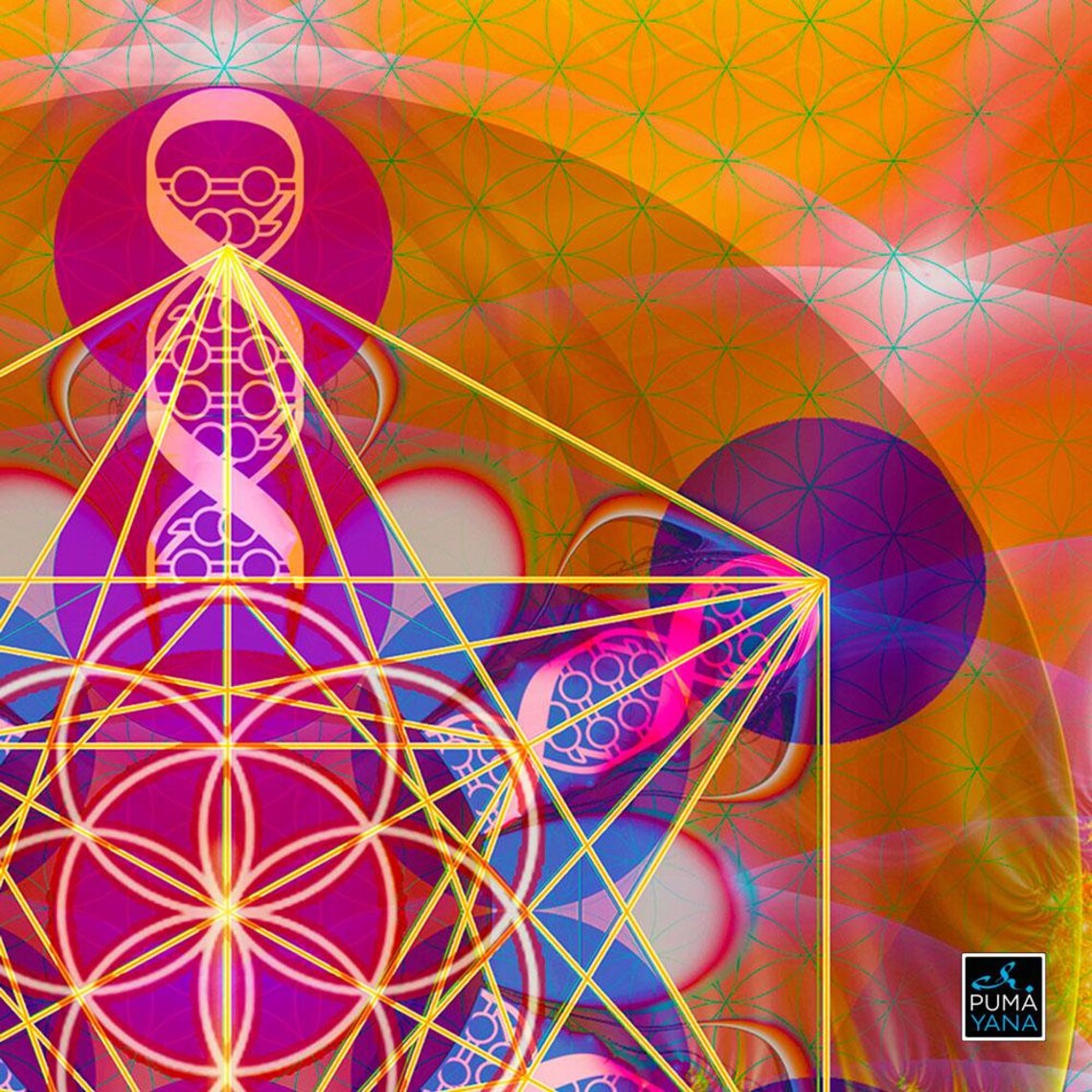 Alchemical Body Poster Art Print Healing Meditation | Etsy