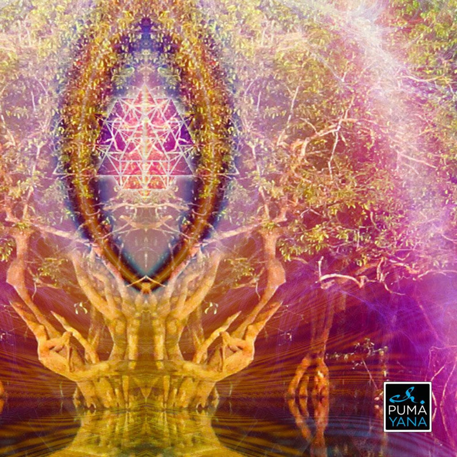 Agartha Cosmic Poster Art Print Earth Meditation - Etsy