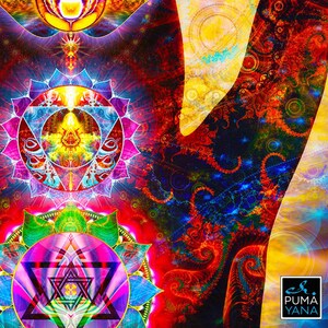 Cosmic Body Poster | Art Print | Healing| Meditation | Spiritual | Gaia ...