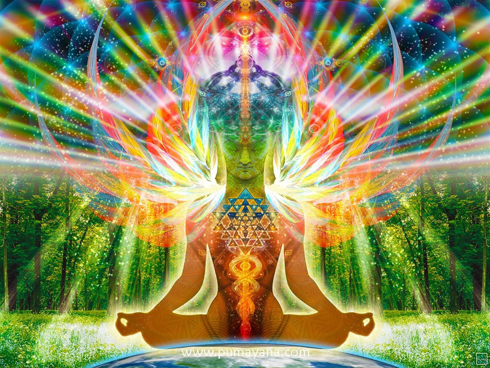 Buddha Birth Cosmic Art Print Canvas Gaia Meditation - Etsy