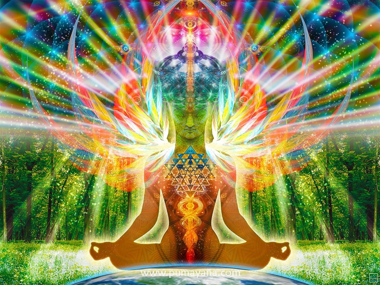 Cosmic Consciousness Art