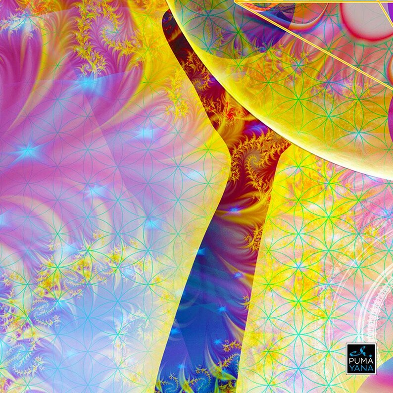 Alchemical Body Poster | Art Print | Healing| Meditation | Spiritual ...