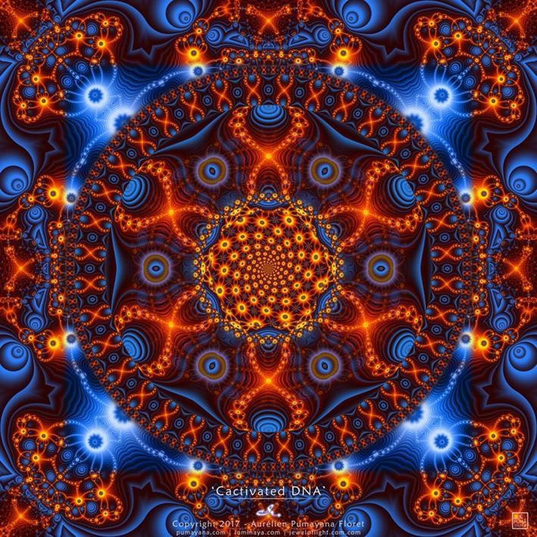Psychedelic Mandala Art Print: Cactivated DNA Canvas, Shamanic ...