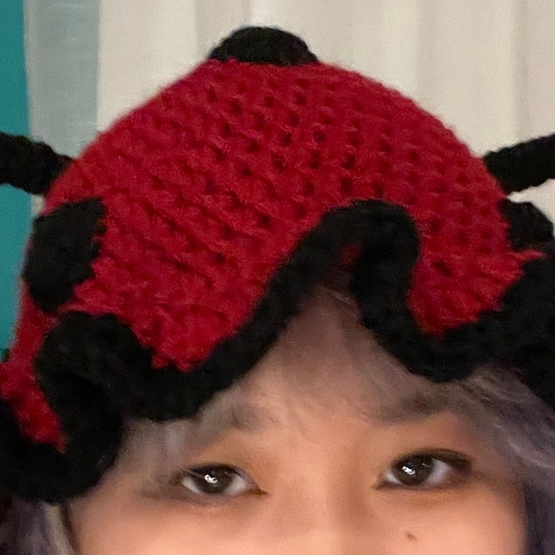 Lady Bug Hat - Etsy