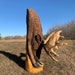 Bull Moose Chainsaw Carving With Barbed Wire Tangled in Antlers Wood ...