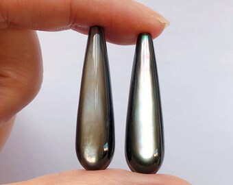 Black Lip Shell - Etsy