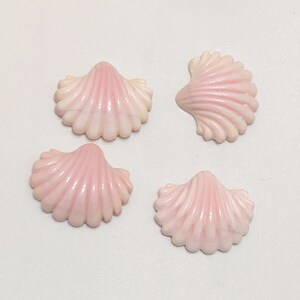 Pink Queen Conch Clamshell Clam Shell Cabochon 18x20 Mm or 14x15 Mm One ...