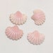 Pink Queen Conch Clamshell Clam Shell Cabochon 18x20 Mm or 14x15 Mm One ...