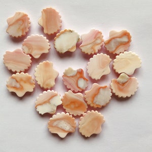 Pink Queen Conch Clamshell Clam Shell Cabochon 18x20 Mm or 14x15 Mm One ...