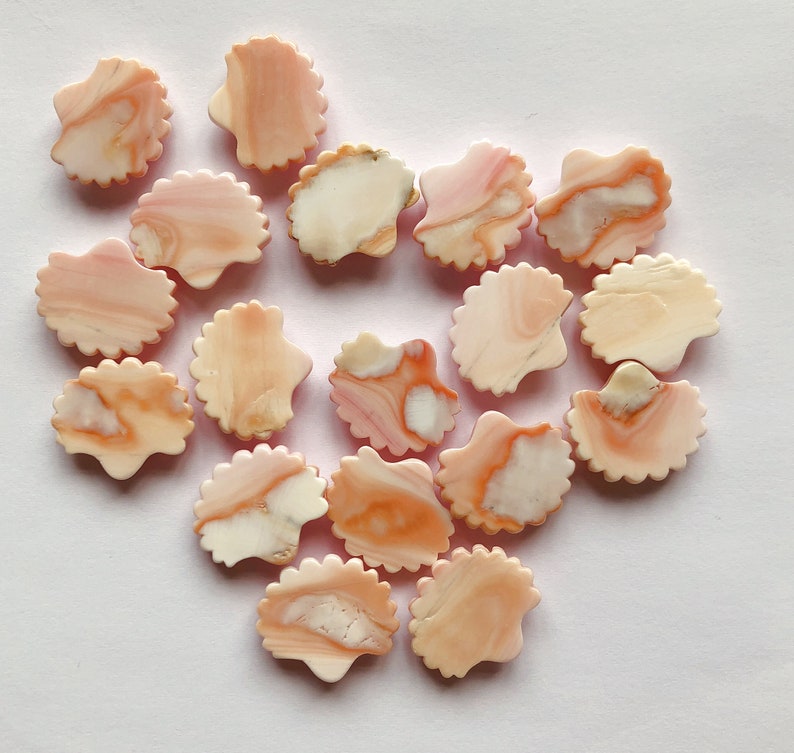 Pink Queen Conch Clamshell Clam Shell Cabochon 18x20 Mm or 14x15 Mm One ...