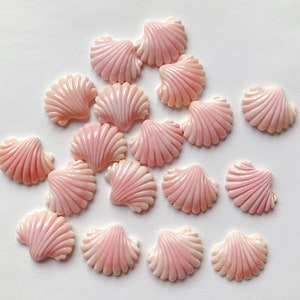 Pink Queen Conch Clamshell Clam Shell Cabochon 18x20 Mm or 14x15 Mm One ...