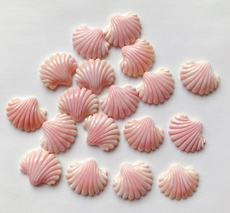 Pink Queen Conch Clamshell Clam Shell Cabochon 18x20 Mm One - Etsy ...