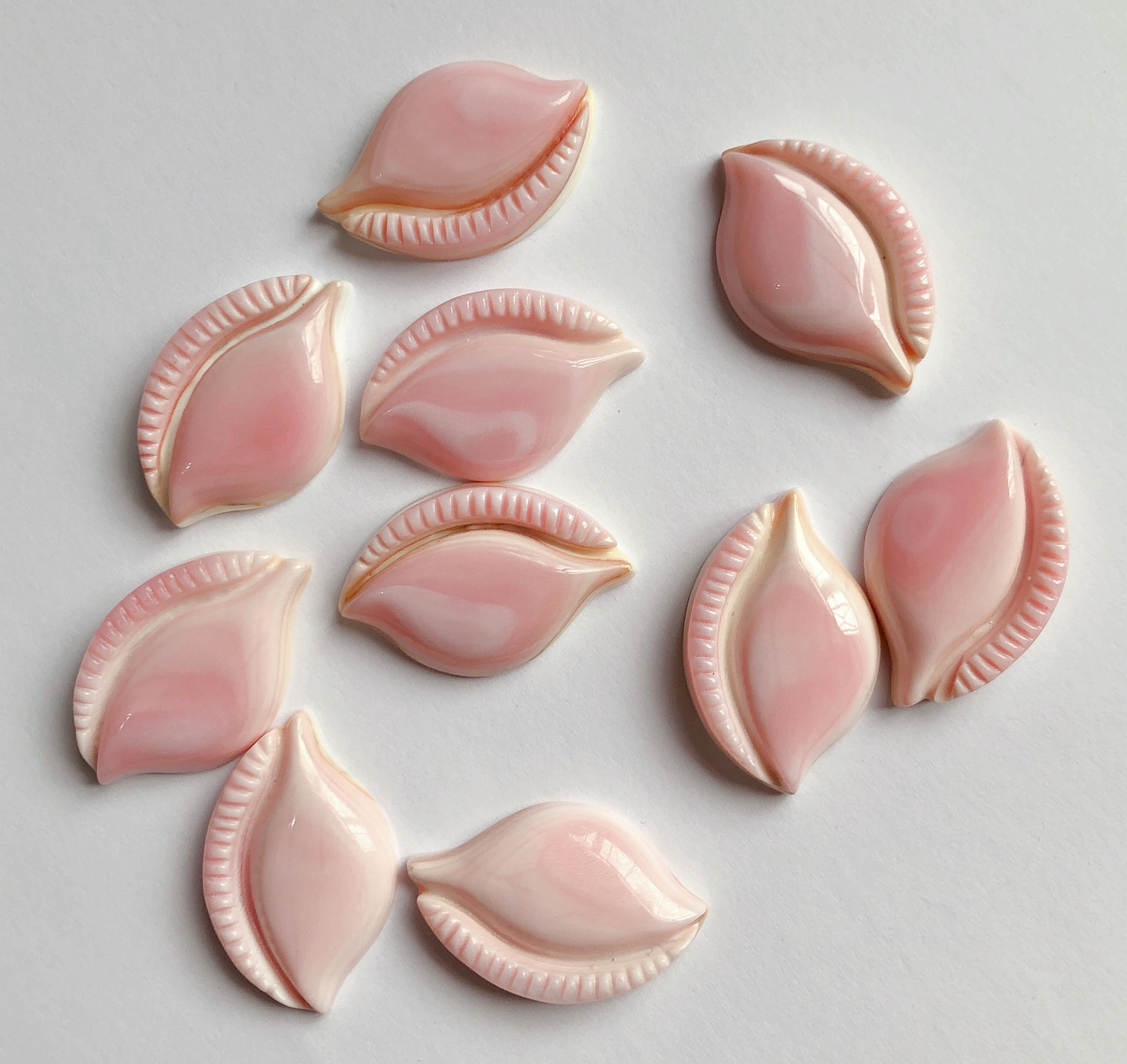 Pink Queen Conch Cowrie Shell Cabochon 20x30 Mm One Piece - Etsy Australia