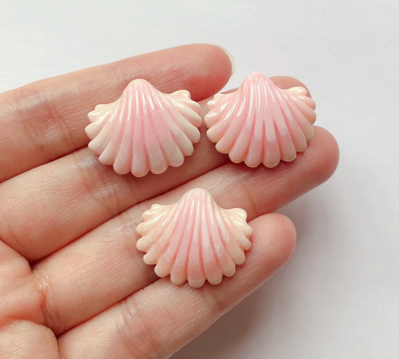 Pink Queen Conch Clamshell Clam Shell Cabochon 18x20 Mm One - Etsy ...