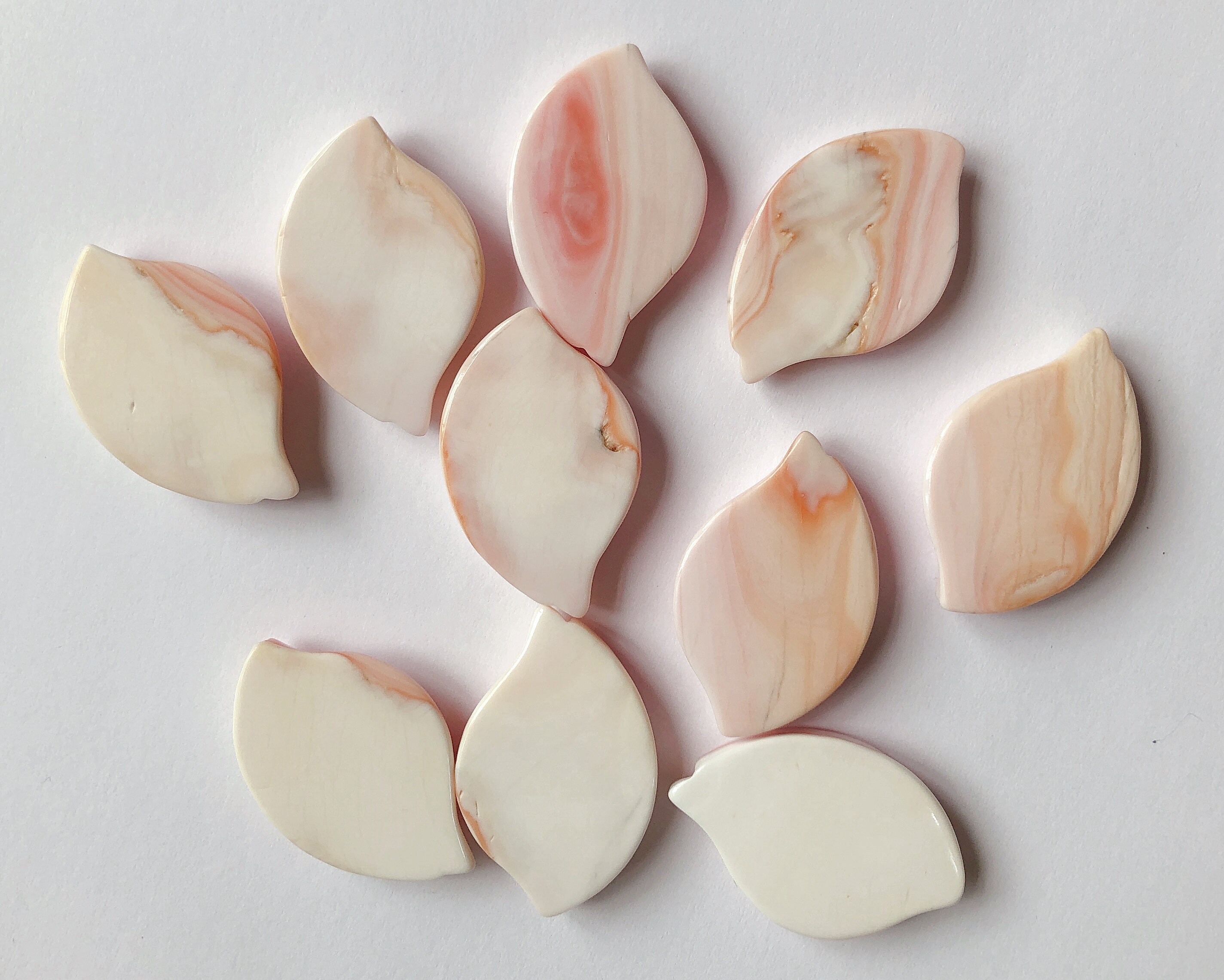 Pink Queen Conch Cowrie Shell Cabochon 20x30 Mm One Piece | Etsy