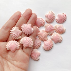 Pink Queen Conch Clamshell Clam Shell Cabochon 18x20 Mm or 14x15 Mm One ...