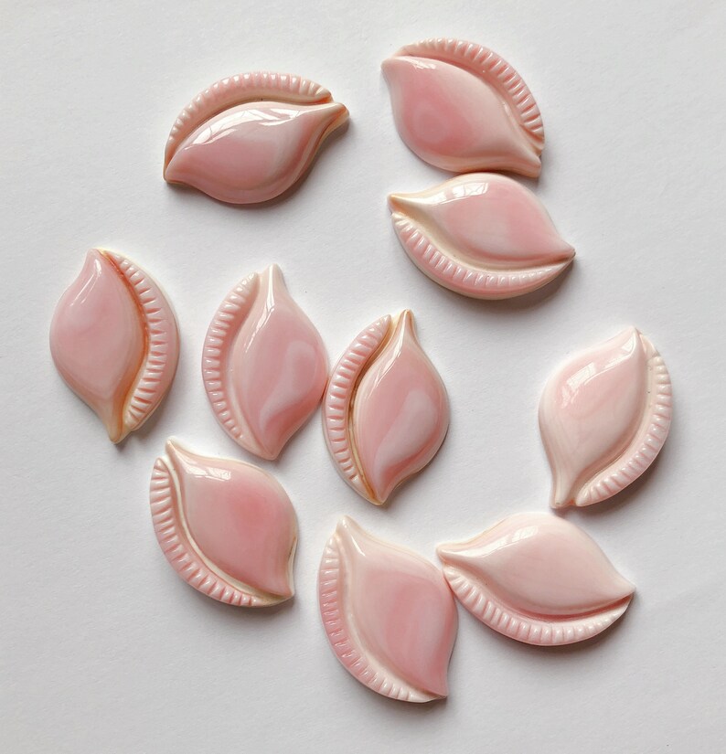 Pink Queen Conch Cowrie Shell Cabochon 20x30 Mm One Piece | Etsy