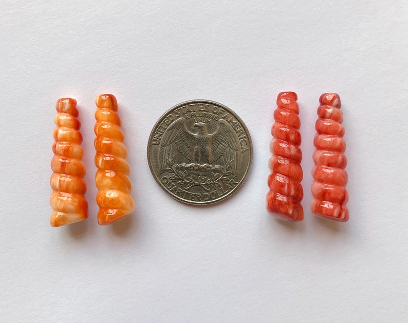 Spiny Oyster Shell Half Drilled Unicorn Horn Drops 8x28 Mm One Pair ...