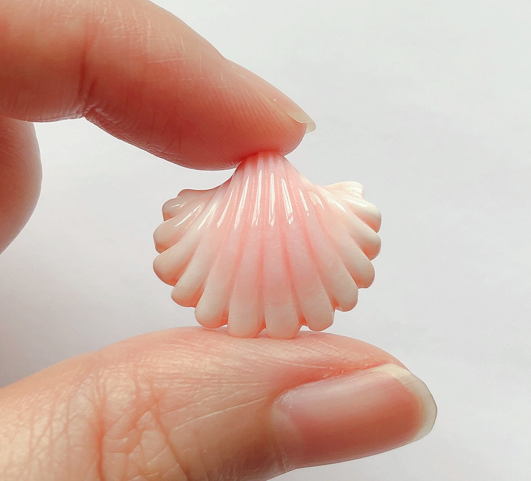 Pink Queen Conch Clamshell Clam Shell Cabochon 18x20 Mm or 14x15 Mm One ...