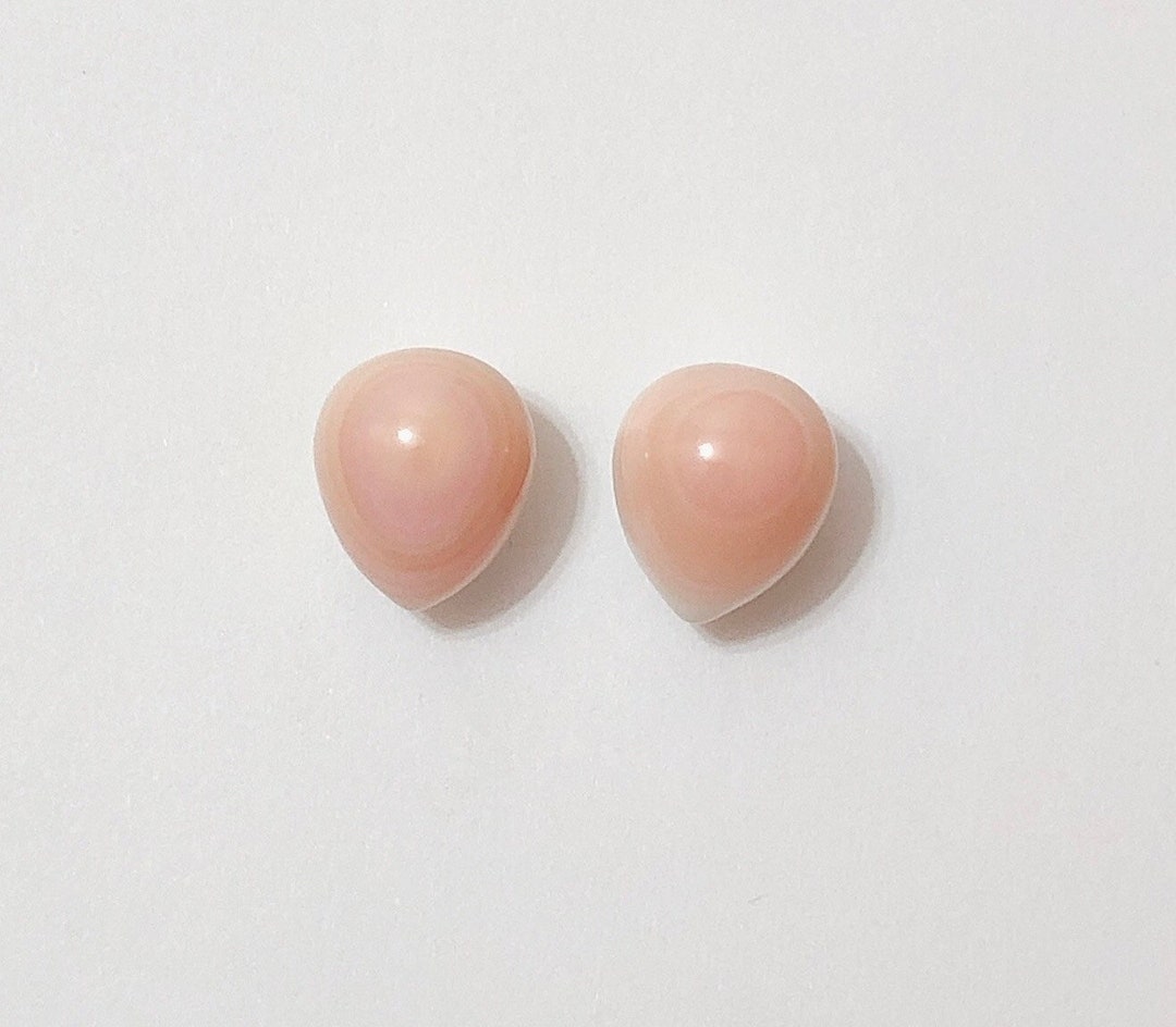 Queen Conch Shell Upside Down Half Drilled Acorn Drops 9x10 Mm, 11x13 ...