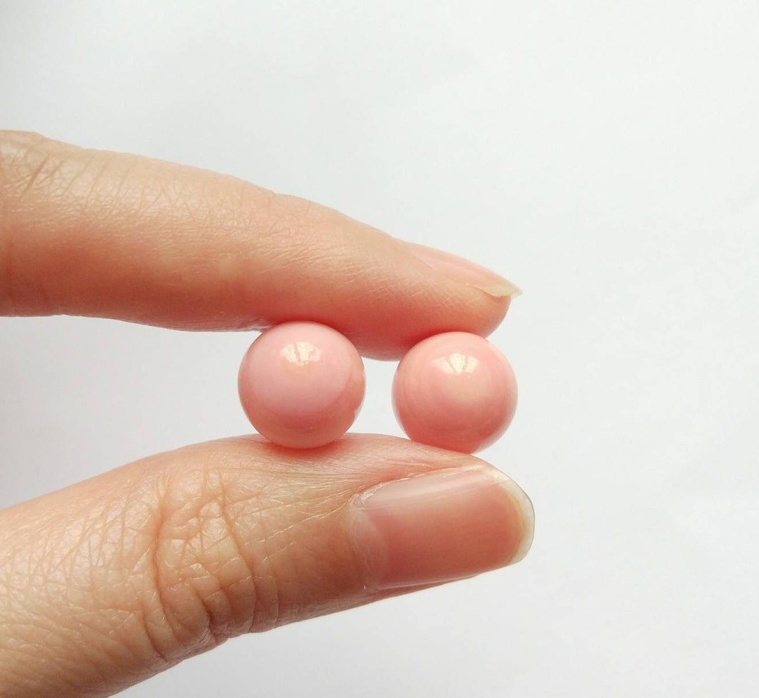 Pale Light Pink Peach Queen Conch Shell Smooth 8 Mm or 12 Mm Half ...