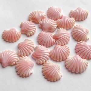 Pink Queen Conch Clamshell Clam Shell Cabochon 18x20 Mm or 14x15 Mm One ...