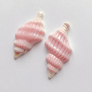 Pink Queen Conch Spiral Shell Cabochon 18x35 Mm C8459 - Etsy