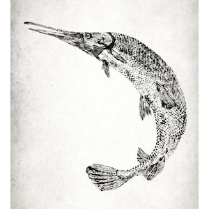 GAR Gyotaku Reproduction Print - Traditional Japanese Fish Art by ...