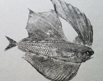 Japanese STURGEON Reproduction on Handmade Washi GYOTAKU | Etsy