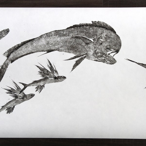 Flying Fish Print - Etsy