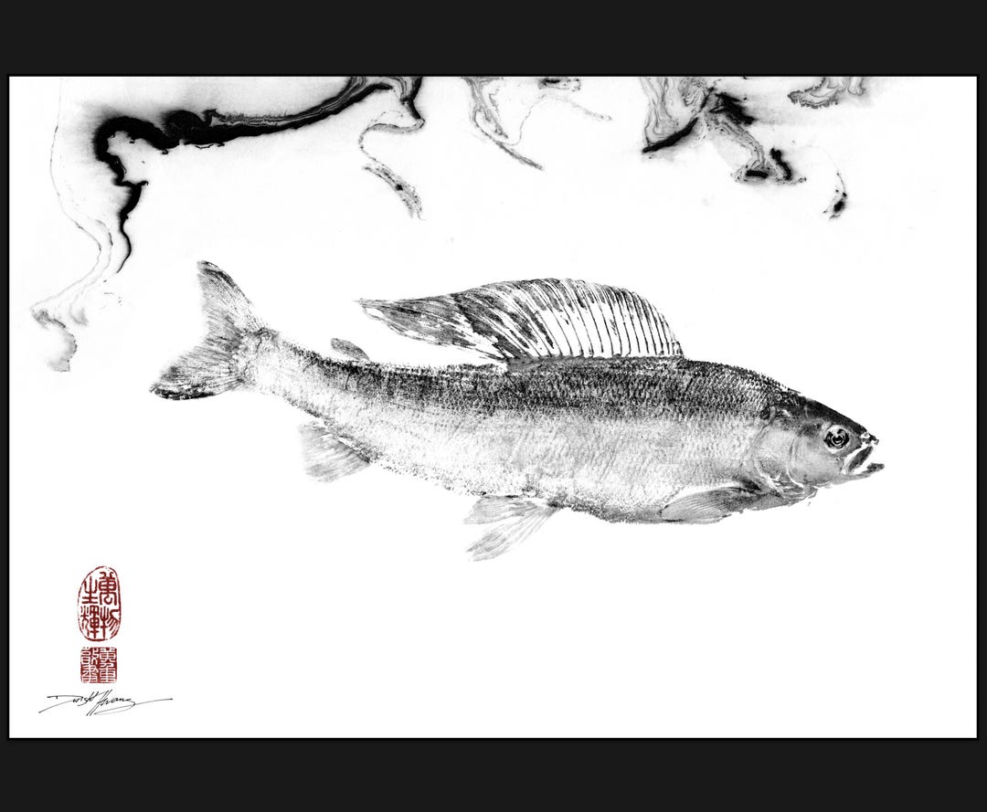 Arctic Grayling Gyotaku Reproduction Print - Classical Japanese Fish ...