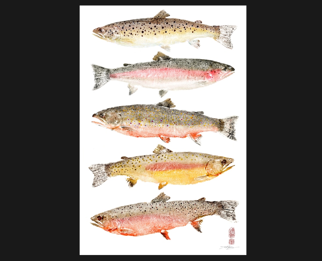Five Trout Full Color Gyotaku Reproduction Print - Traditional Japanese ...