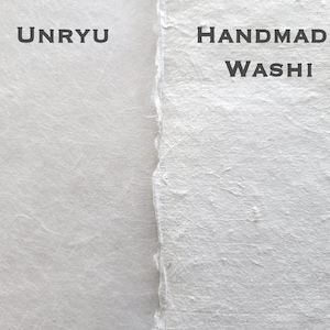 Coho Salmon - Spawning Pattern Color - Gyotaku - Traditional Japanese ...