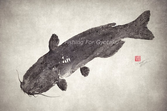 Japanese Catfish Art