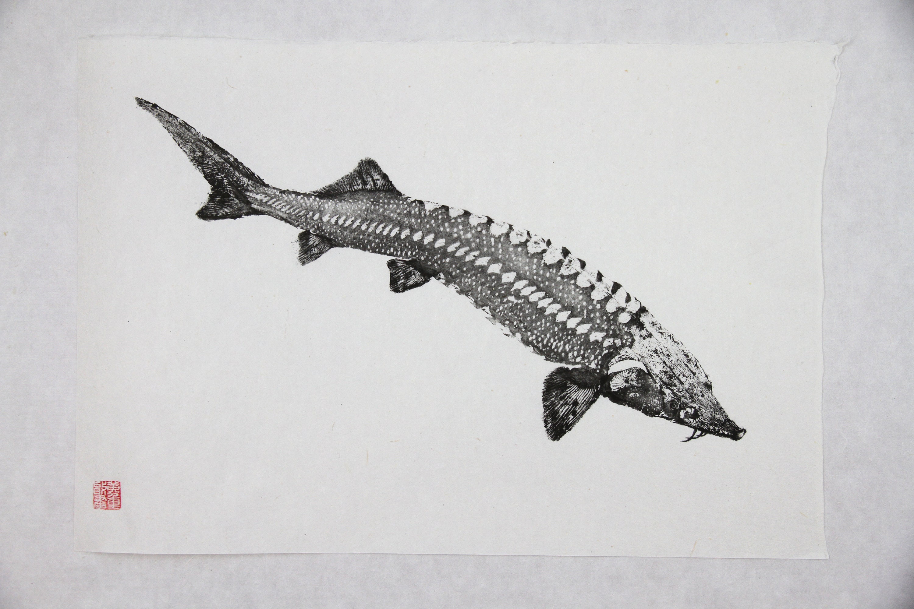 Sturgeon Artwork