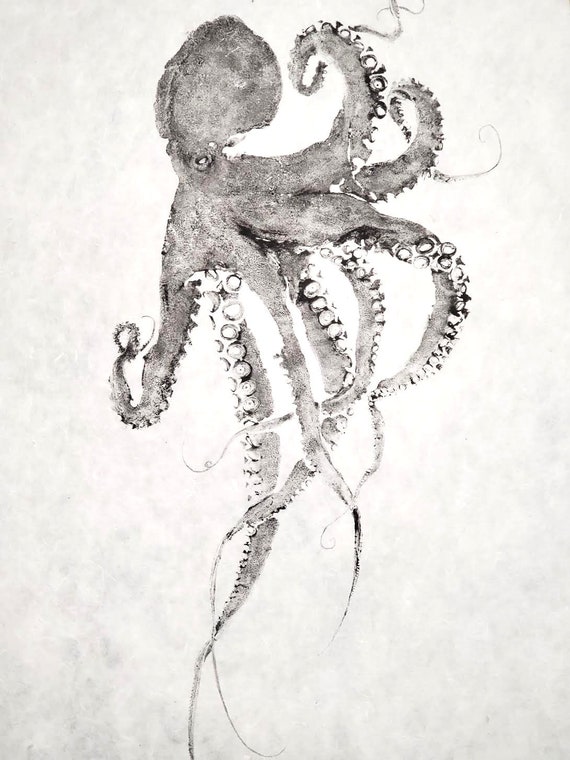 Traditional Octopus Drawings