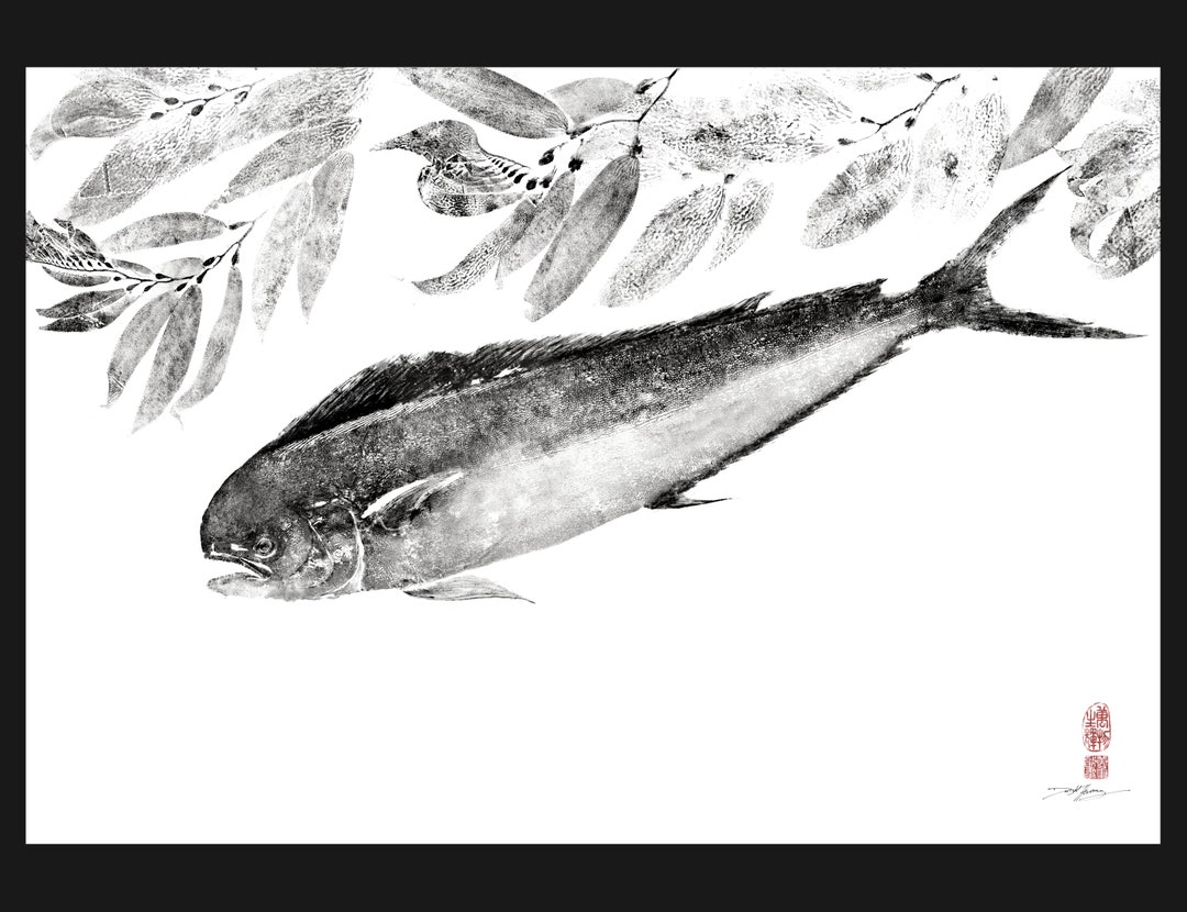 Mahi Mahi Under Kelp, Dorado, Dolphinfish (shira in Japanese) Gyotaku ...