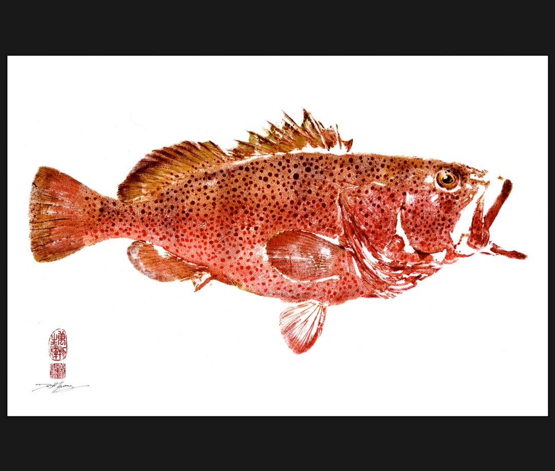 Strawberry Grouper Gyotaku Reproduction Print - Traditional Japanese ...