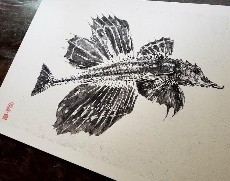 Dragon Fish or Sailfin Poacher hakkaku GYOTAKU Print - Etsy