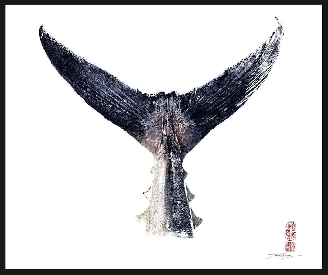 Tail of Bluefin Tuna Gyotaku COLOR Print - Traditional Japanese Fish ...