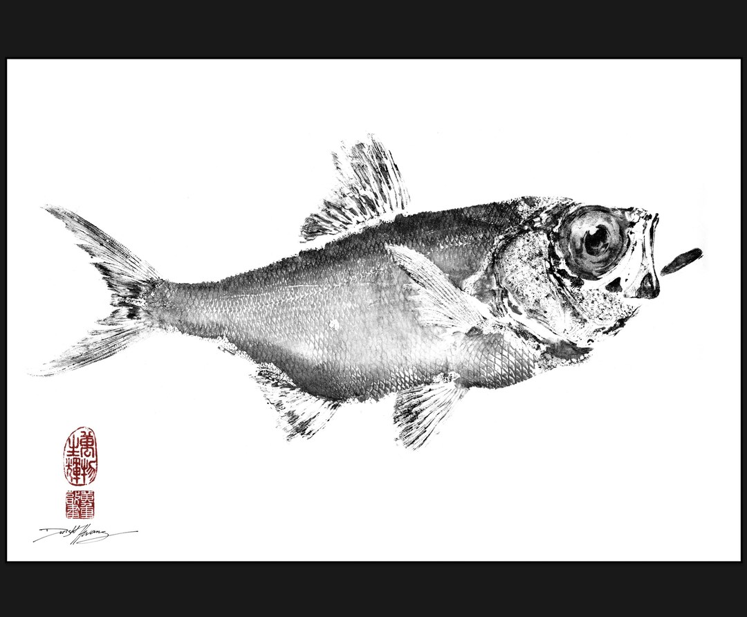 Kinmedai - Golden Eye Snapper - Alfonso - Gyotaku Reproduction Print ...