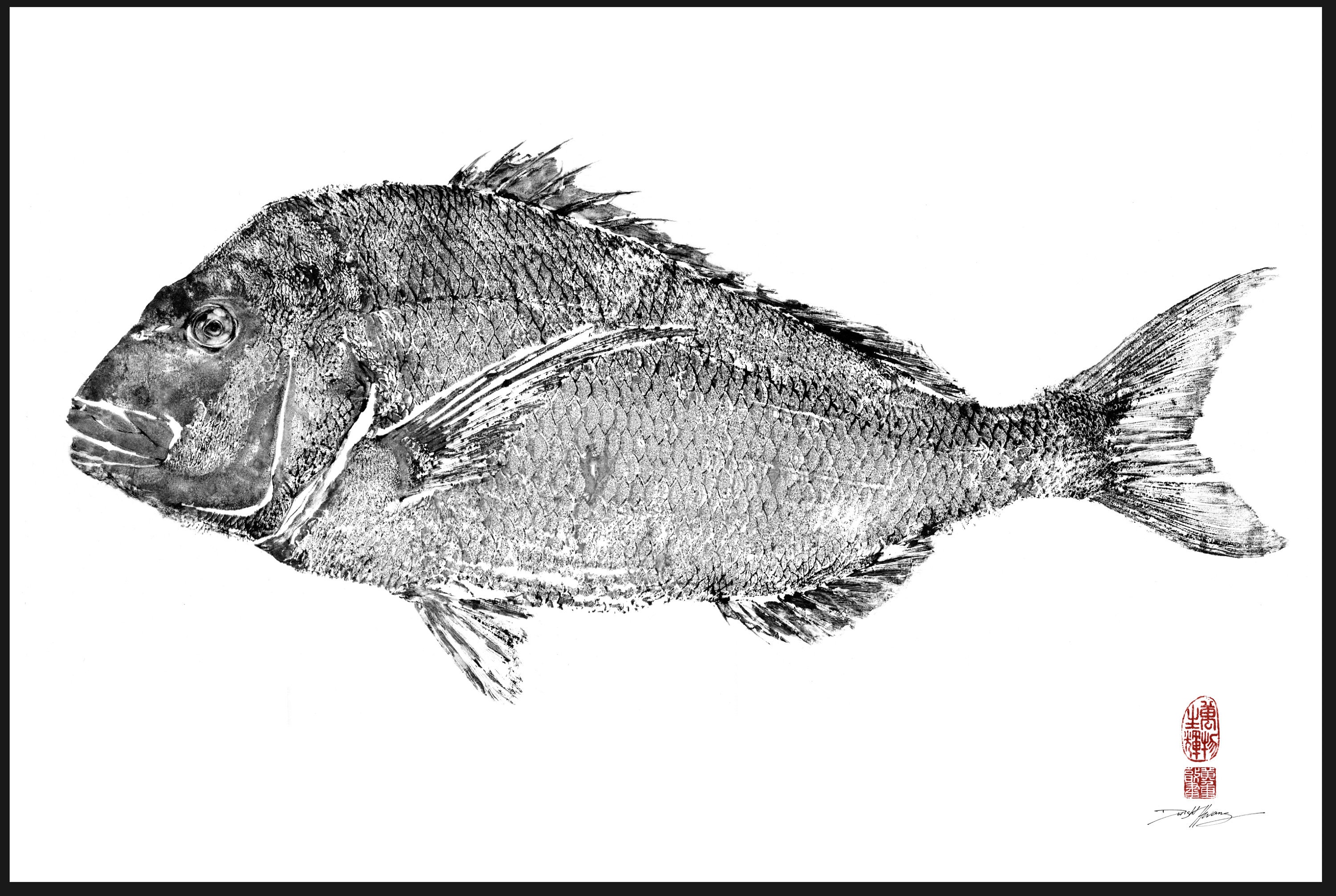 Red Snapper - Red Sea Bream - Madai - Gyotaku Reproduction Print ...