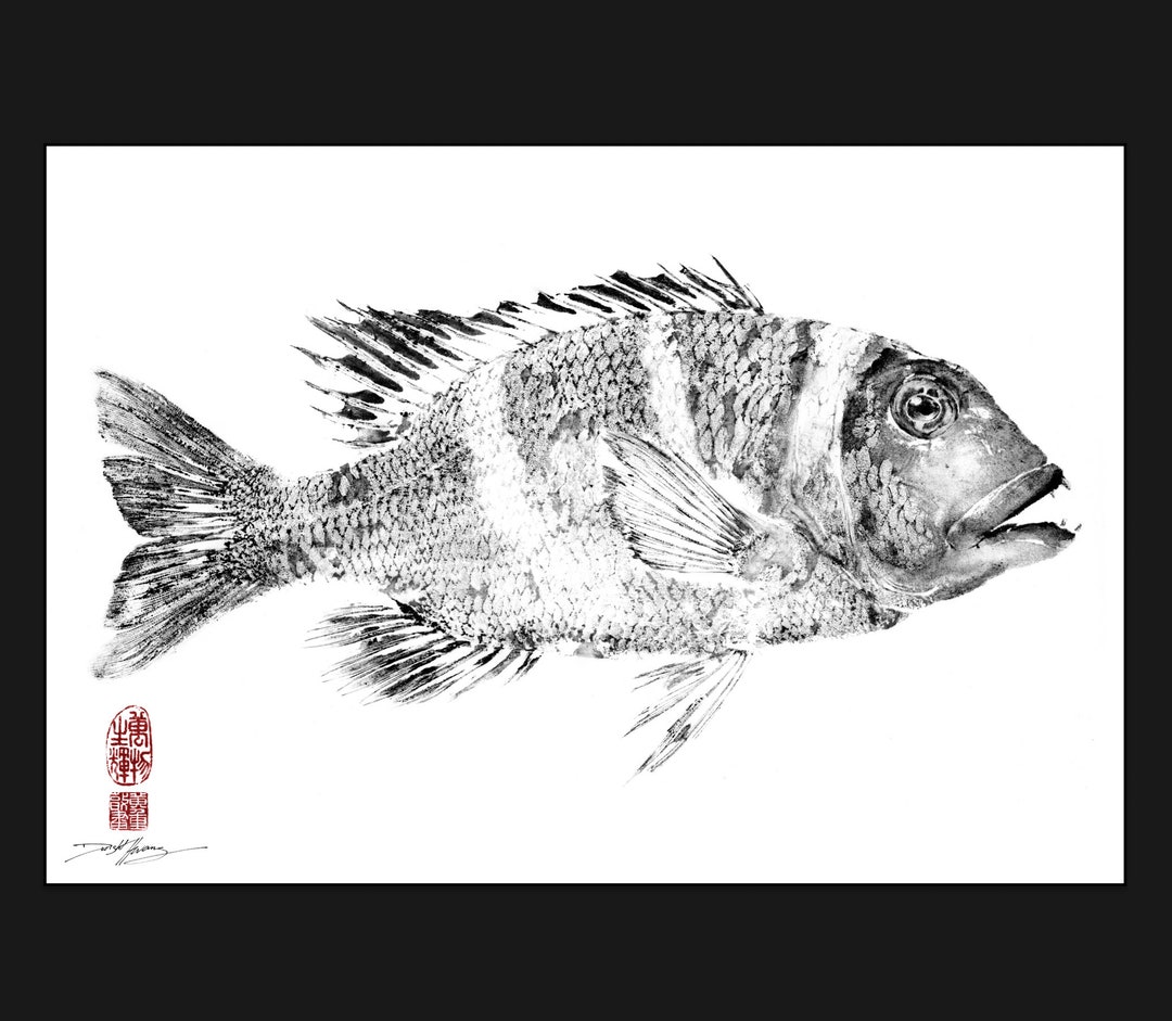Hawaiian Mu - Gyotaku Reproduction Print - Traditional Fish Art by ...