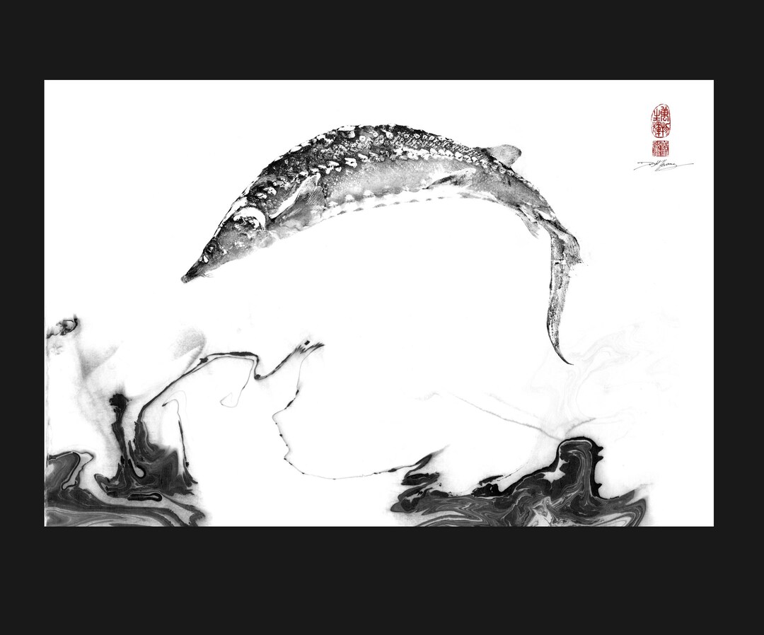 White Sturgeon - Ethereal - Suminagashi (chou-zame or Butterfly Shark ...